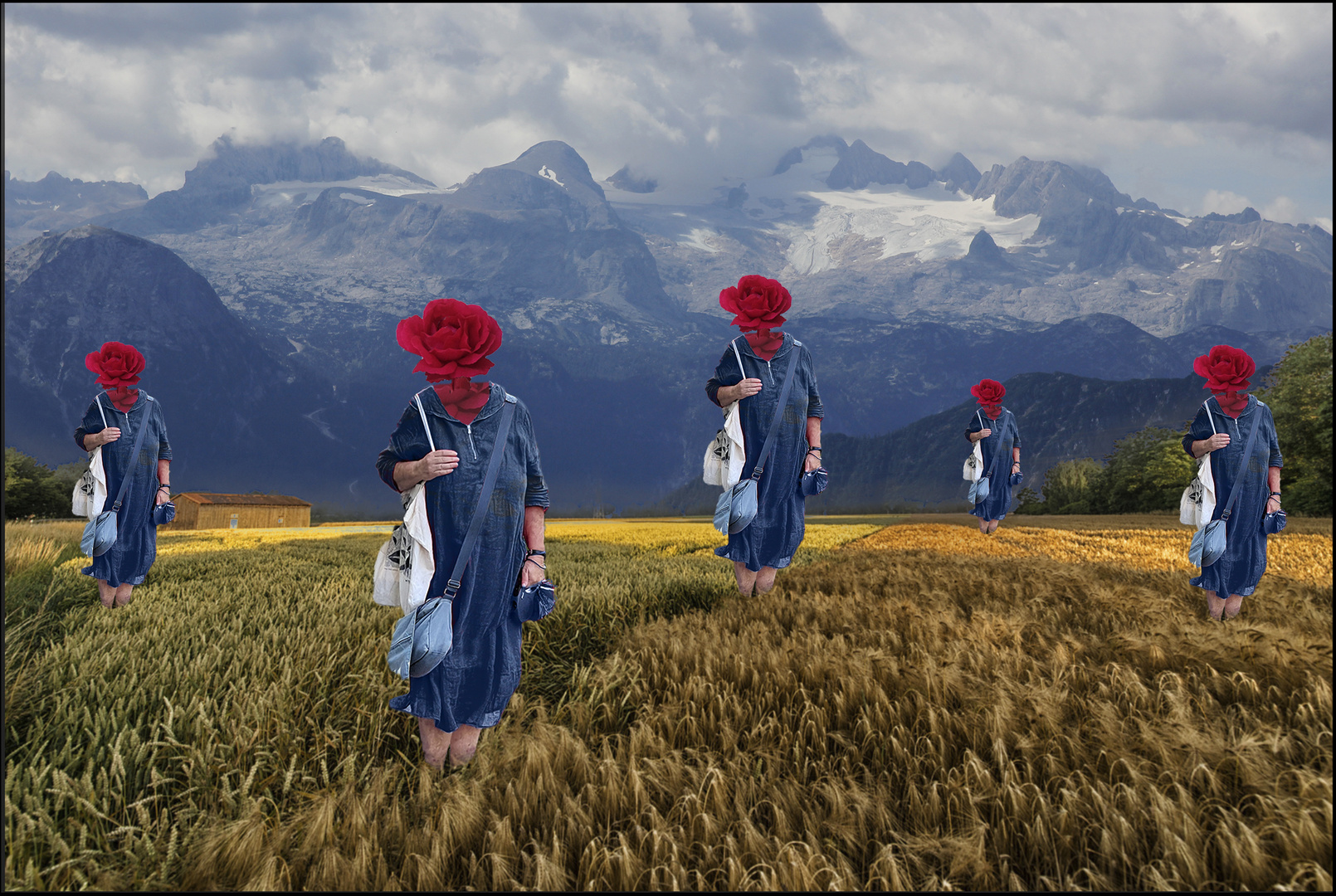 Röslein Röslein Röslein rot... Foto & Bild | spezial, composing ...