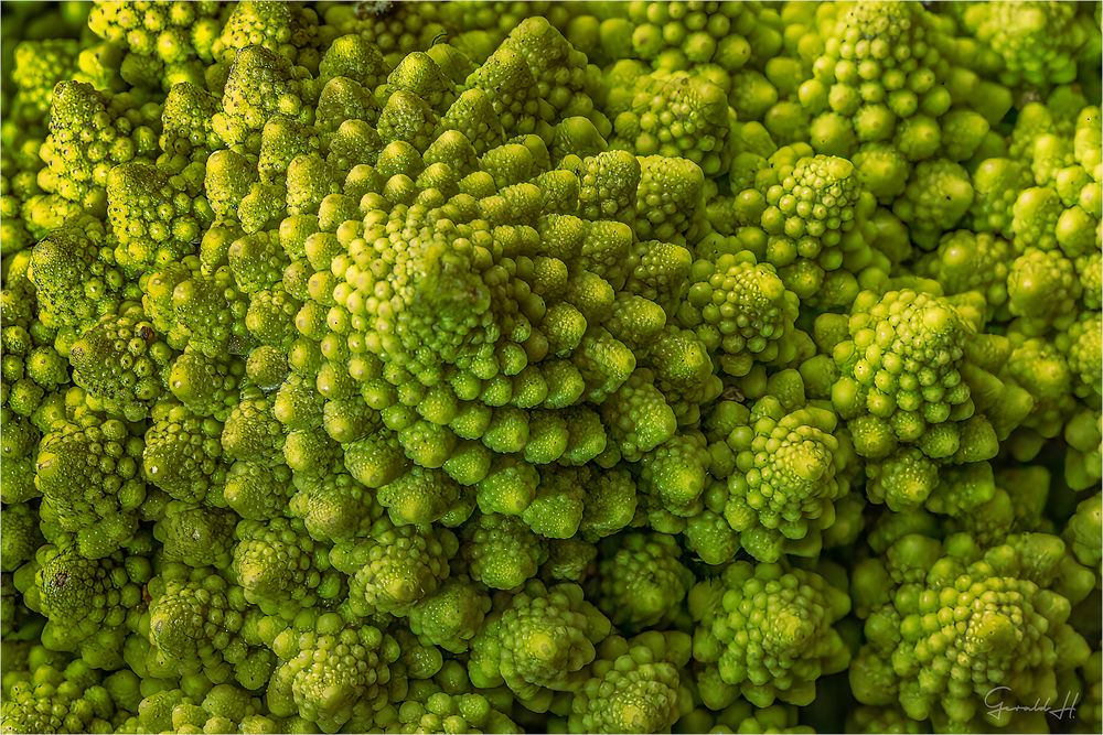 Romanesco - ein Fraktal in der Natur Foto & Bild | grün, natur, digiart Bilder auf fotocommunity