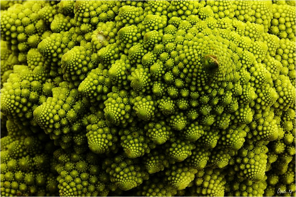 romano kohl Foto & Bild | stillleben, food-fotografie, obst & gemüse ...