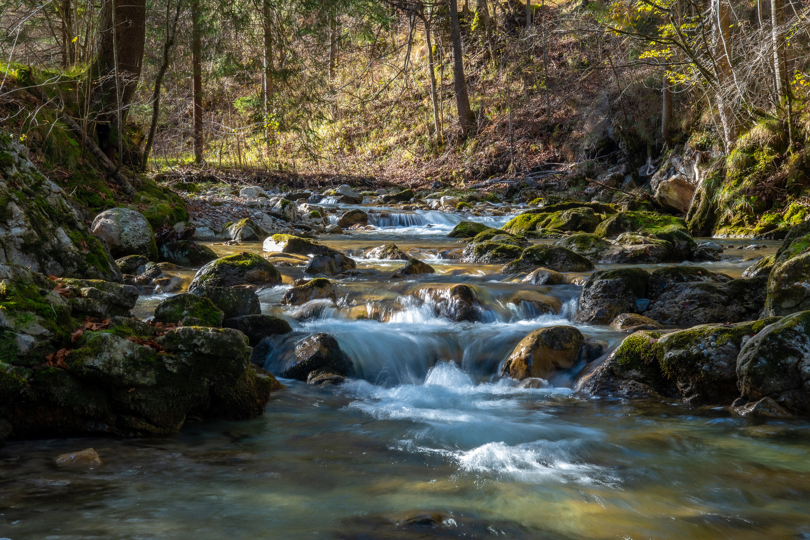 Romantischer Bachlauf Foto & Bild | landschaft, bach, fluss & see, bachläufe Bilder auf ...