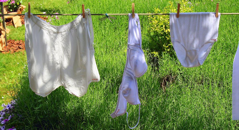 ROPA TENDIDA Imagen & Foto | documentación y periodismo , naturaleza ...