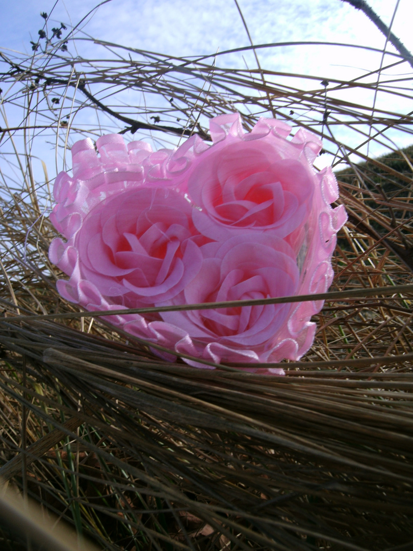 Rosa Herz aus rosen - for you - LoVe - Liebe Foto & Bild ...