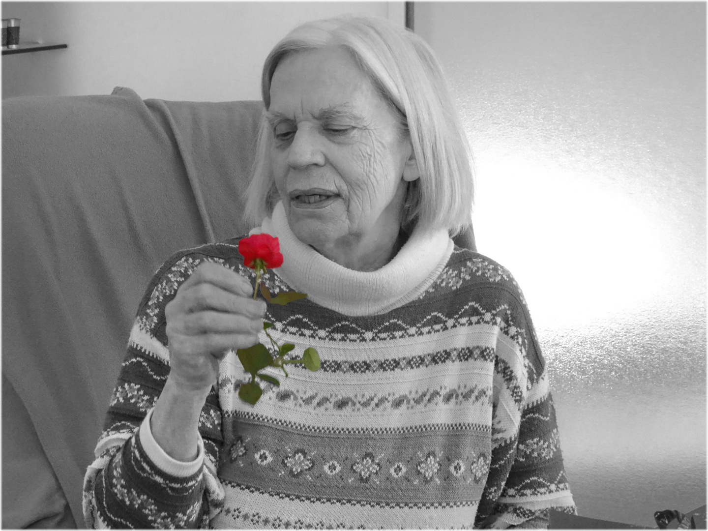 Rose Foto & Bild | spezial, trauer, köln Bilder auf fotocommunity