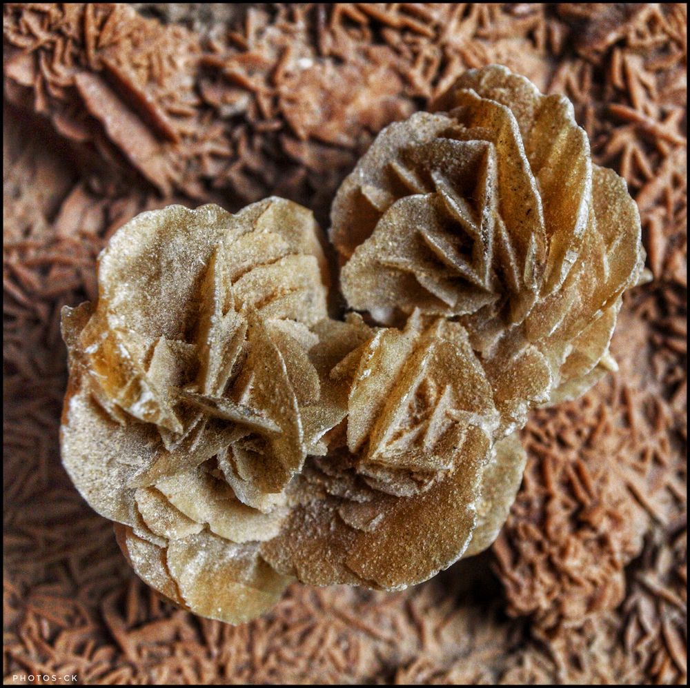 rose de sable ..... photo et image | nature, nature abstraite Images ...