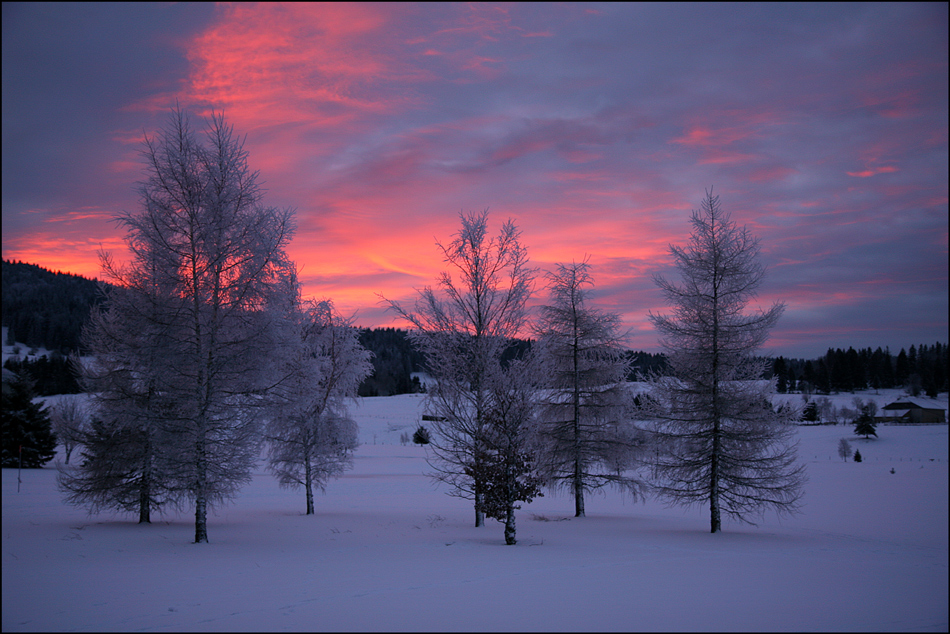 Rose du matin.. photo et image | europe, france, franche-comté Images ...