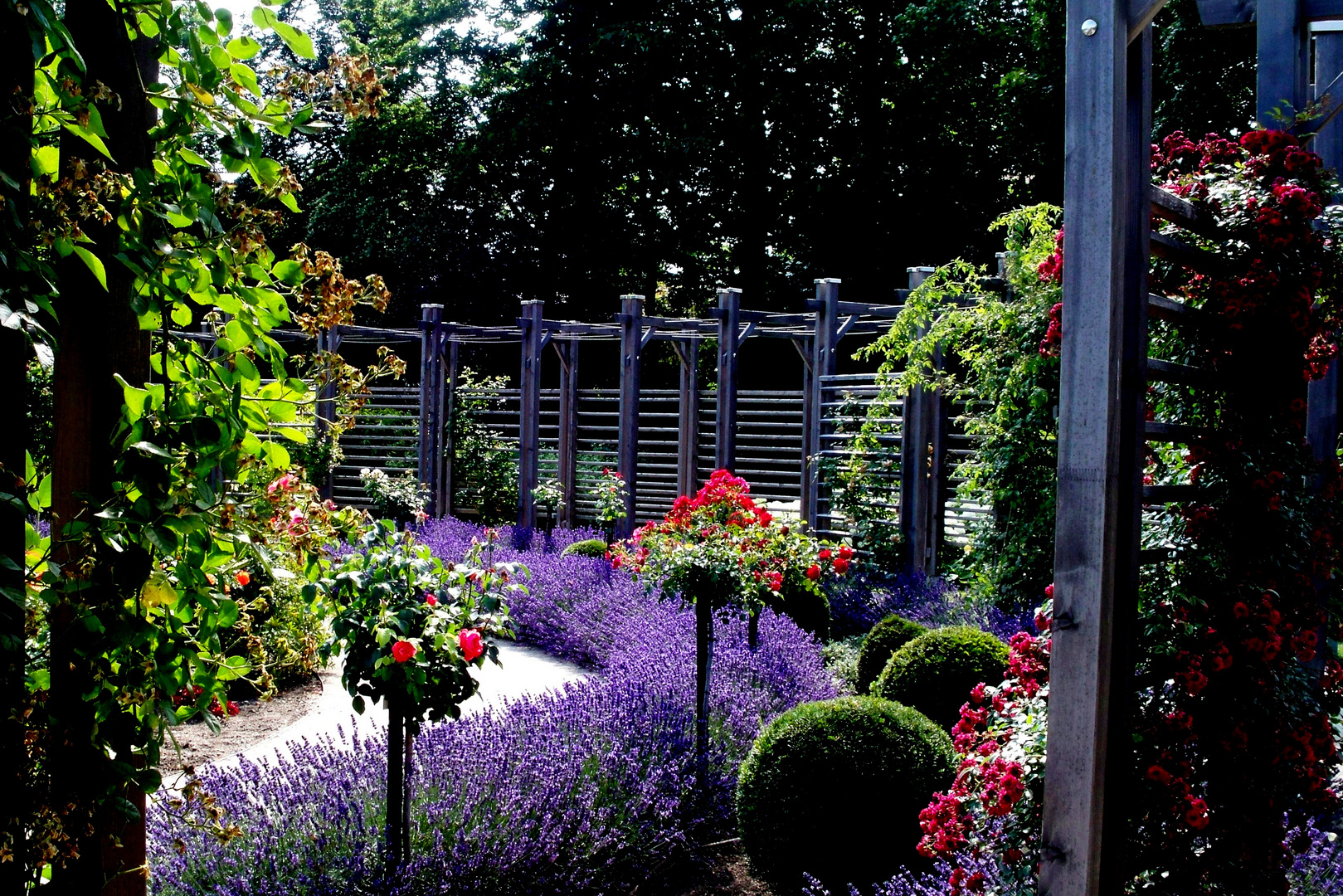 Rosengarten Foto & Bild | landschaft, garten- & parklandschaften, natur ...