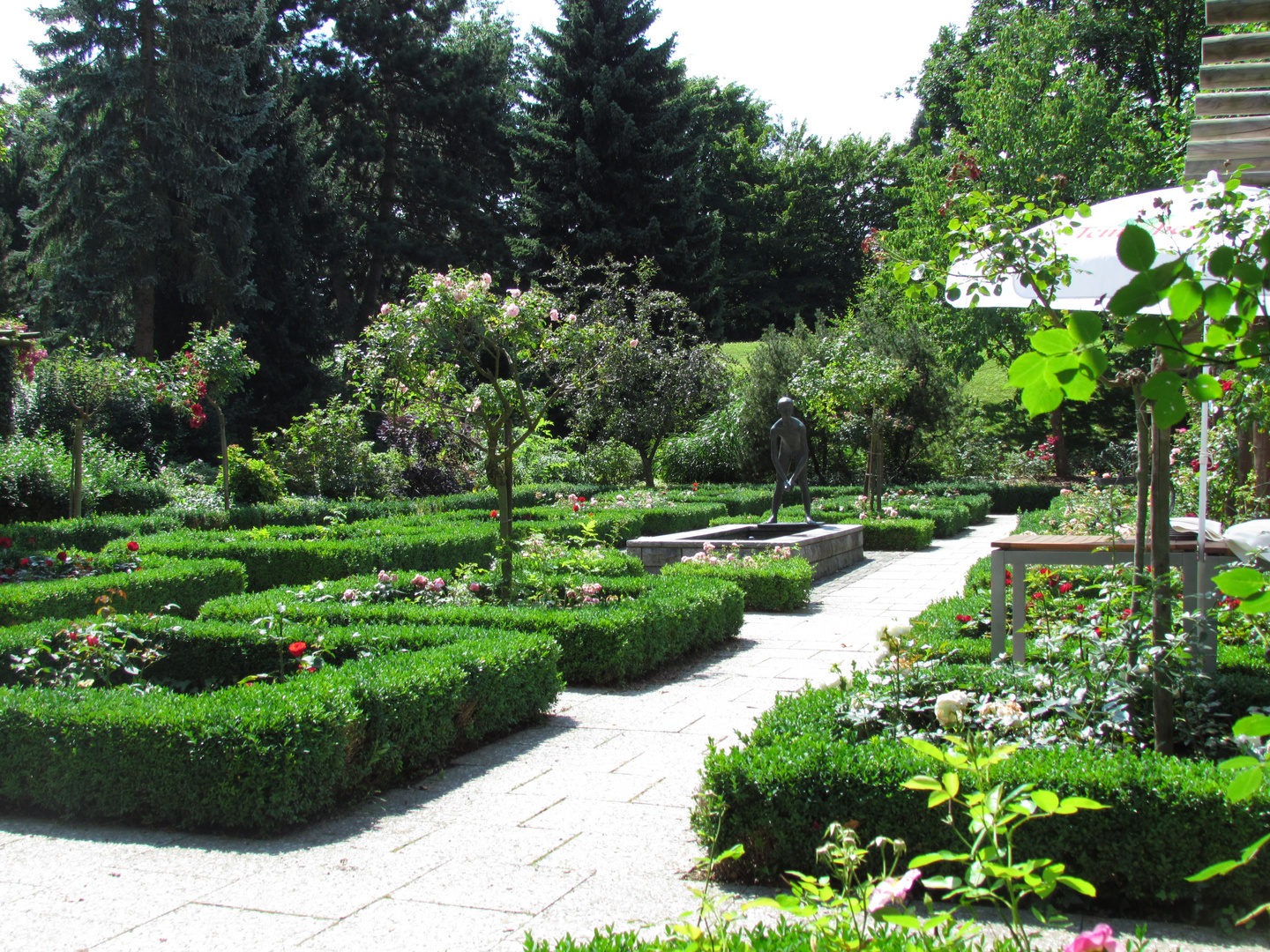 Rosengarten Augustinum Foto & Bild | anfängerecke - nachgefragt ...