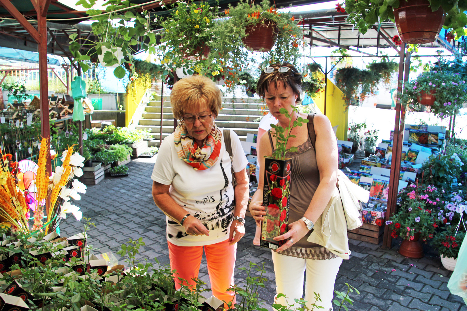 Rosenkauf auf dem Polenmarkt Foto & Bild | erwachsene menschen, alltagsereignisse, menschen in ...