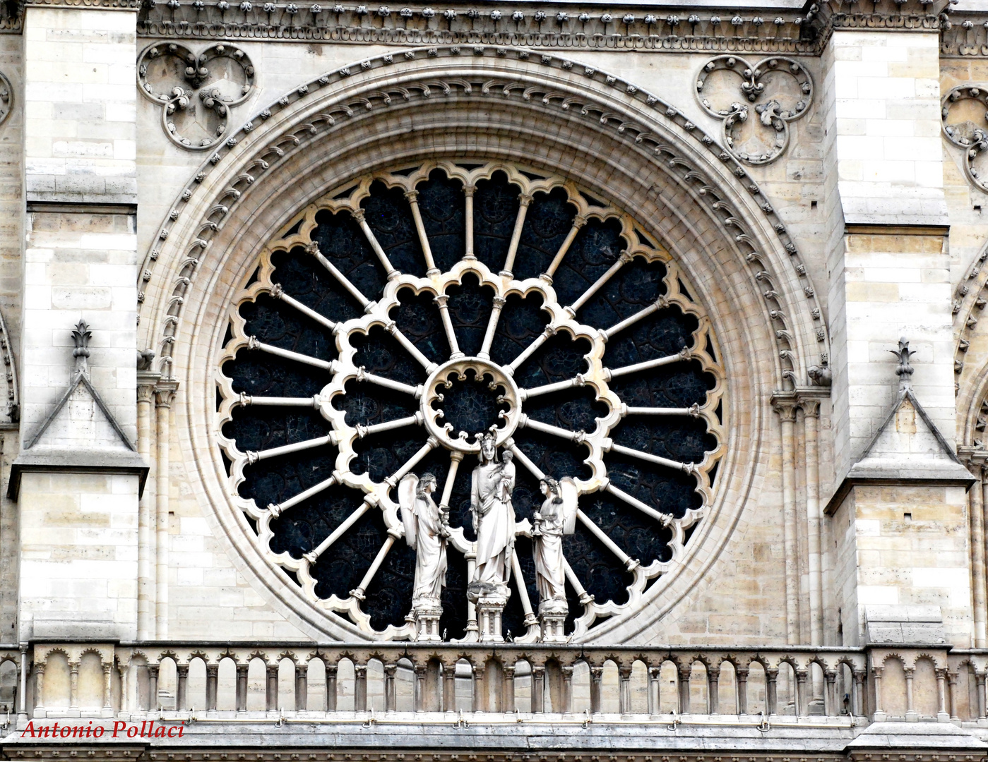 Rosone di Notre Dame de Paris Foto % Immagini| architetture ...