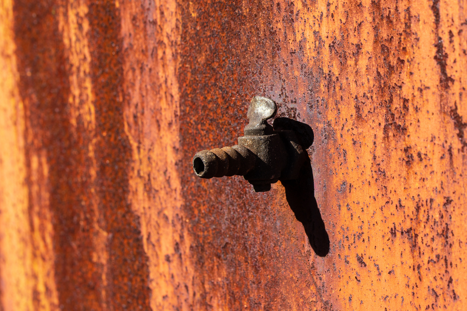 Rost Foto & Bild | world, spezial, dokumentation Bilder auf fotocommunity