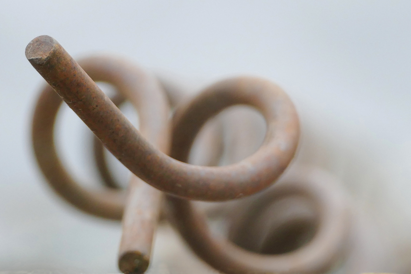 Rost Foto & Bild | marodes, rostart, rost im detail , specials Bilder ...