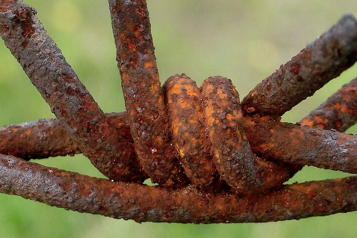 Rost Foto & Bild | stillleben, details, motive Bilder auf fotocommunity