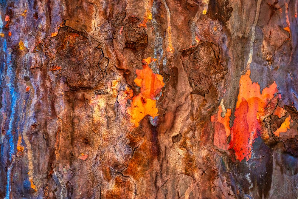 Rost an der Seebrücke Foto & Bild | abstraktes, marodes, strukturen ...