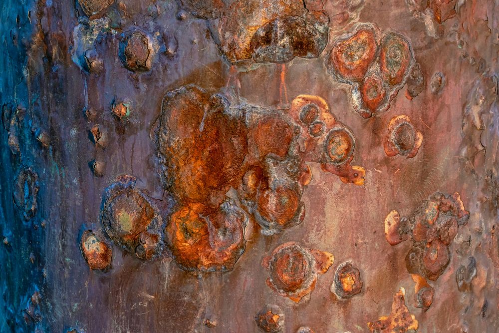 Rost an der Seebrücke Foto & Bild | abstraktes, marodes, strukturen ...