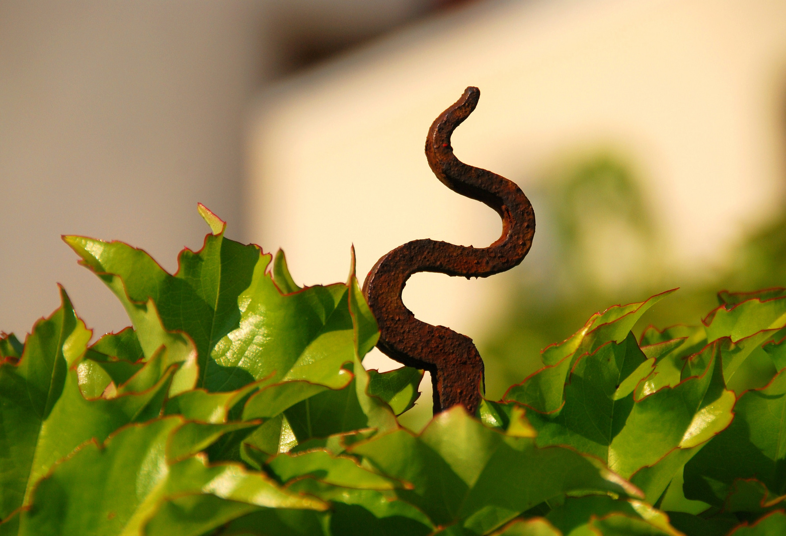 Rost - Art Foto & Bild | marodes, rostart, rost im detail , specials ...