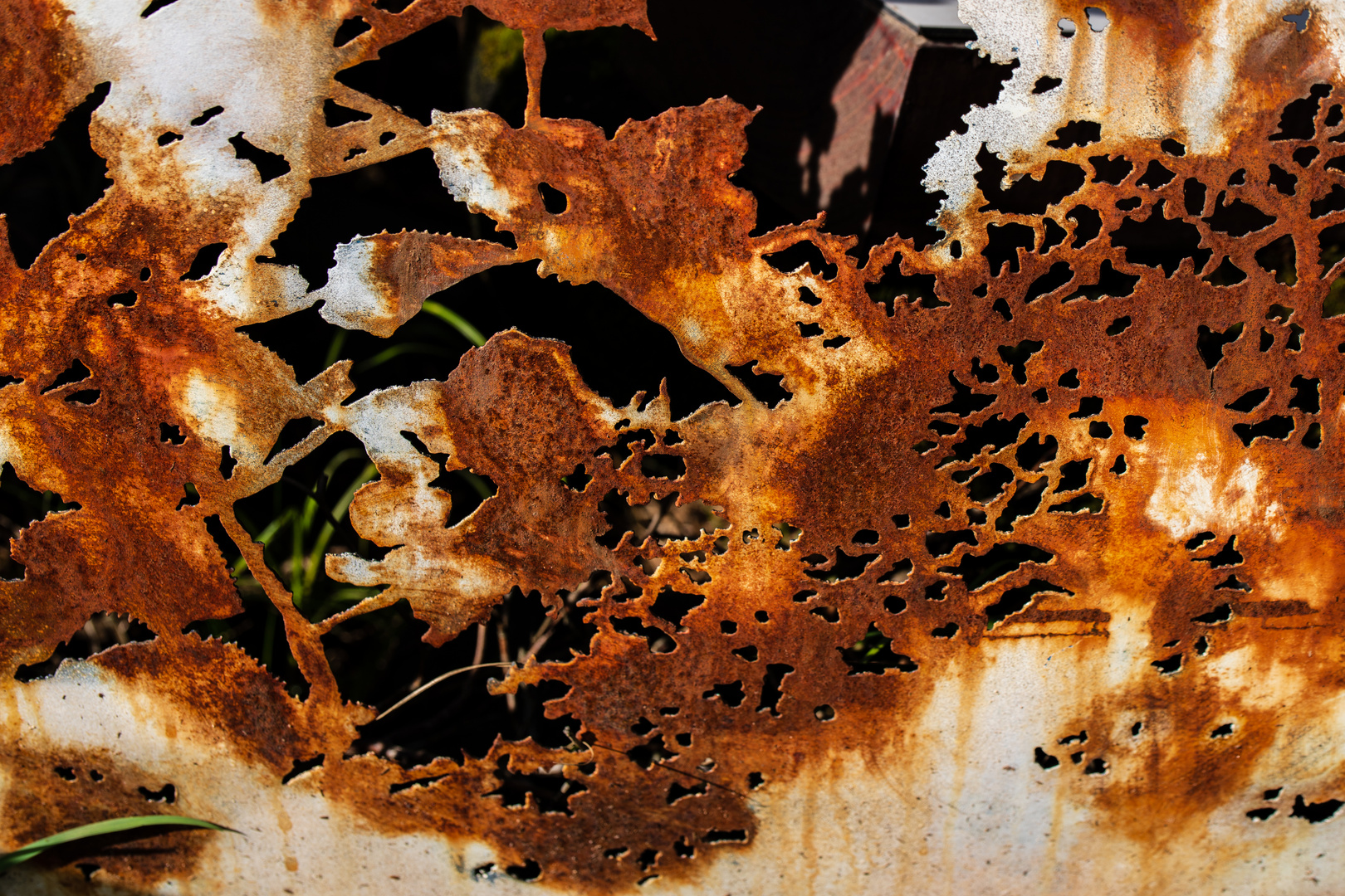 Rost II Foto & Bild | world, spezial, dokumentation Bilder auf ...