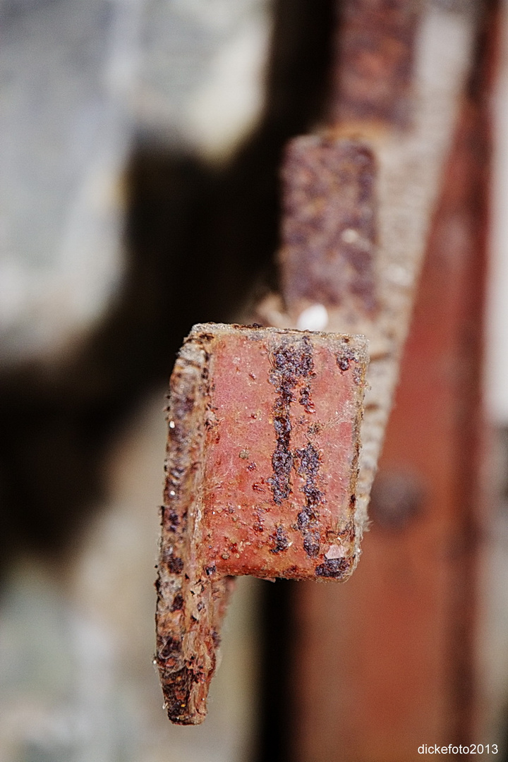 Rost1 Foto & Bild | stillleben, motive Bilder auf fotocommunity