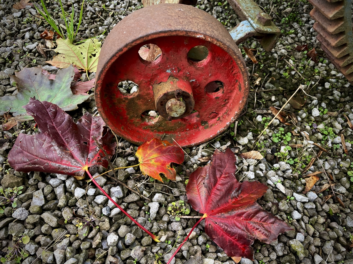 Rostrot Foto & Bild | jahreszeiten, herbst, dinge Bilder auf fotocommunity