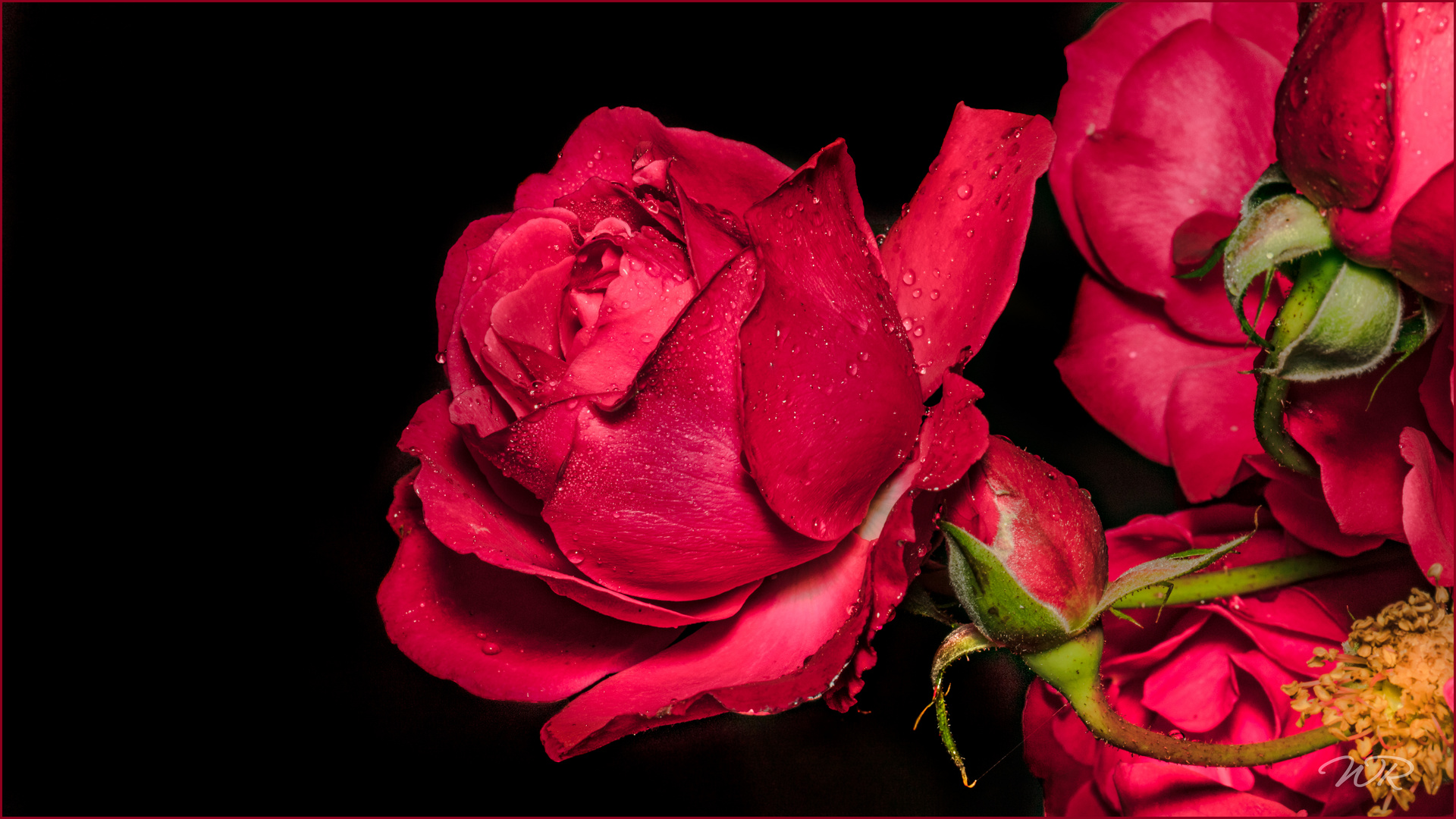 rot 1 Foto & Bild | art, spezial, rot Bilder auf fotocommunity