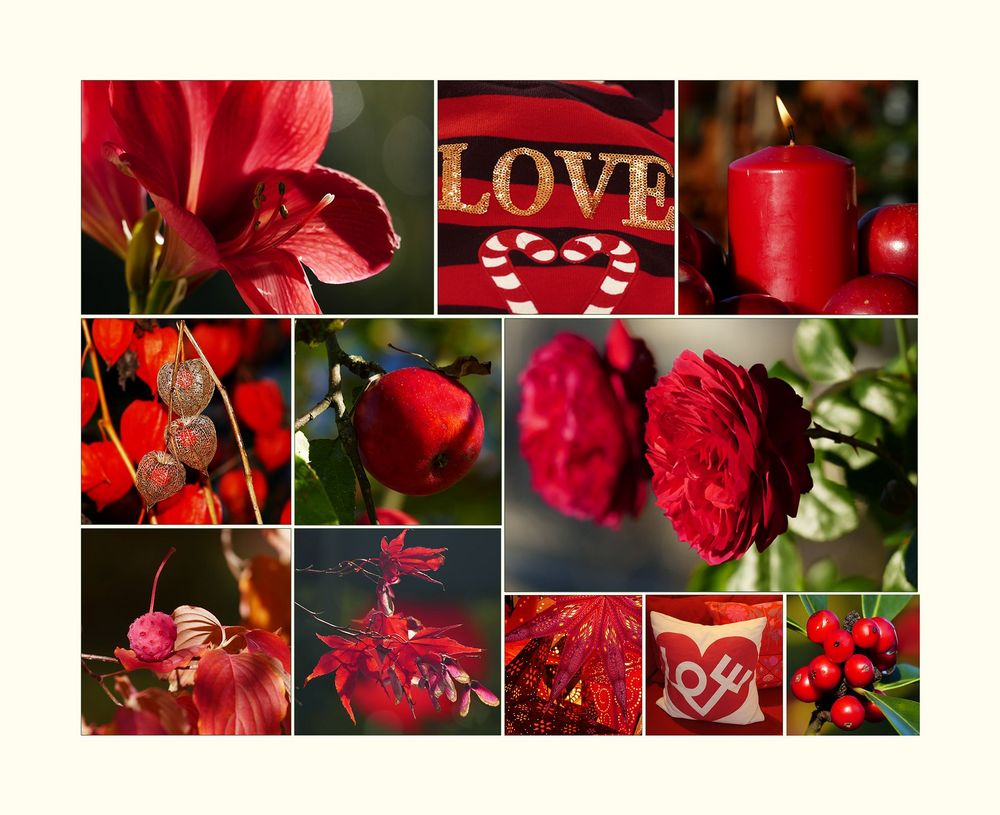 ROT... Foto & Bild | Bilder auf fotocommunity