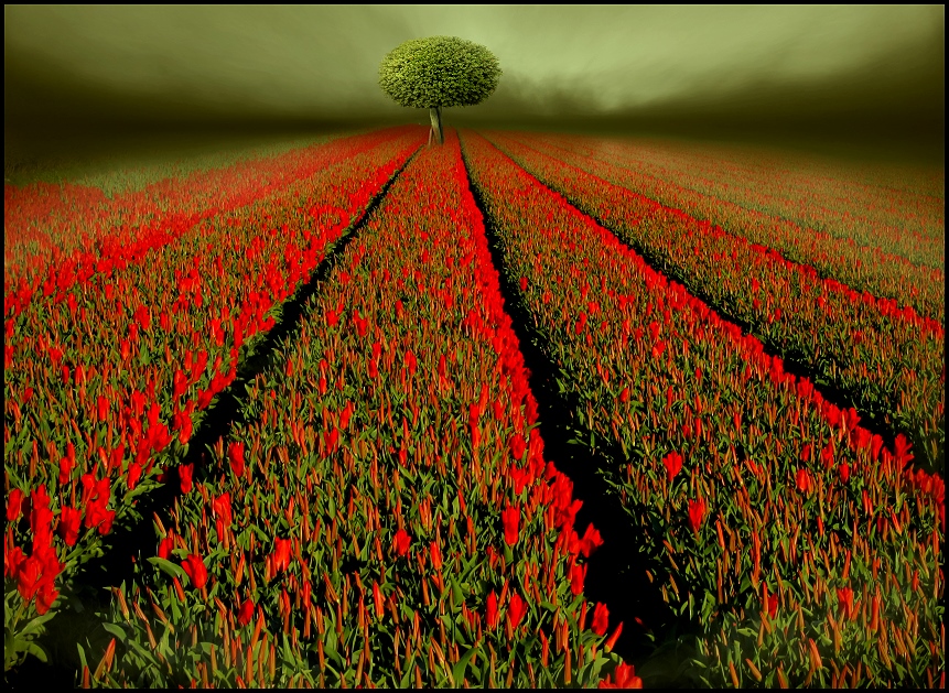 rot,, Foto & Bild | art, rot, landschaften Bilder auf fotocommunity