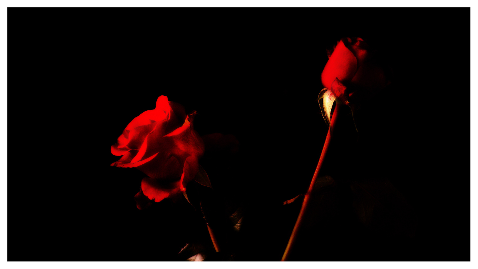 Rot Foto & Bild | abstraktes, natur-makros, natur-kreativ Bilder auf ...