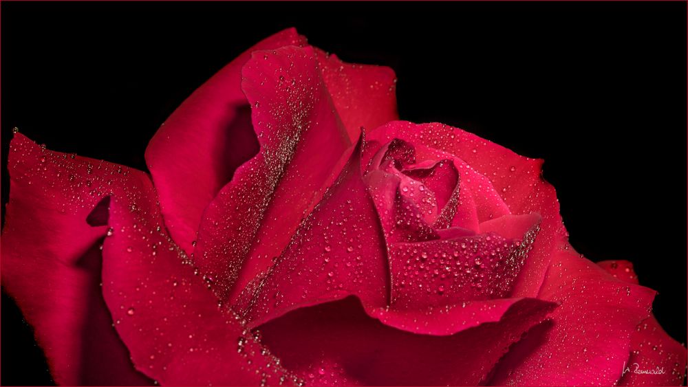 rot Foto & Bild | spezial, rot, makro Bilder auf fotocommunity