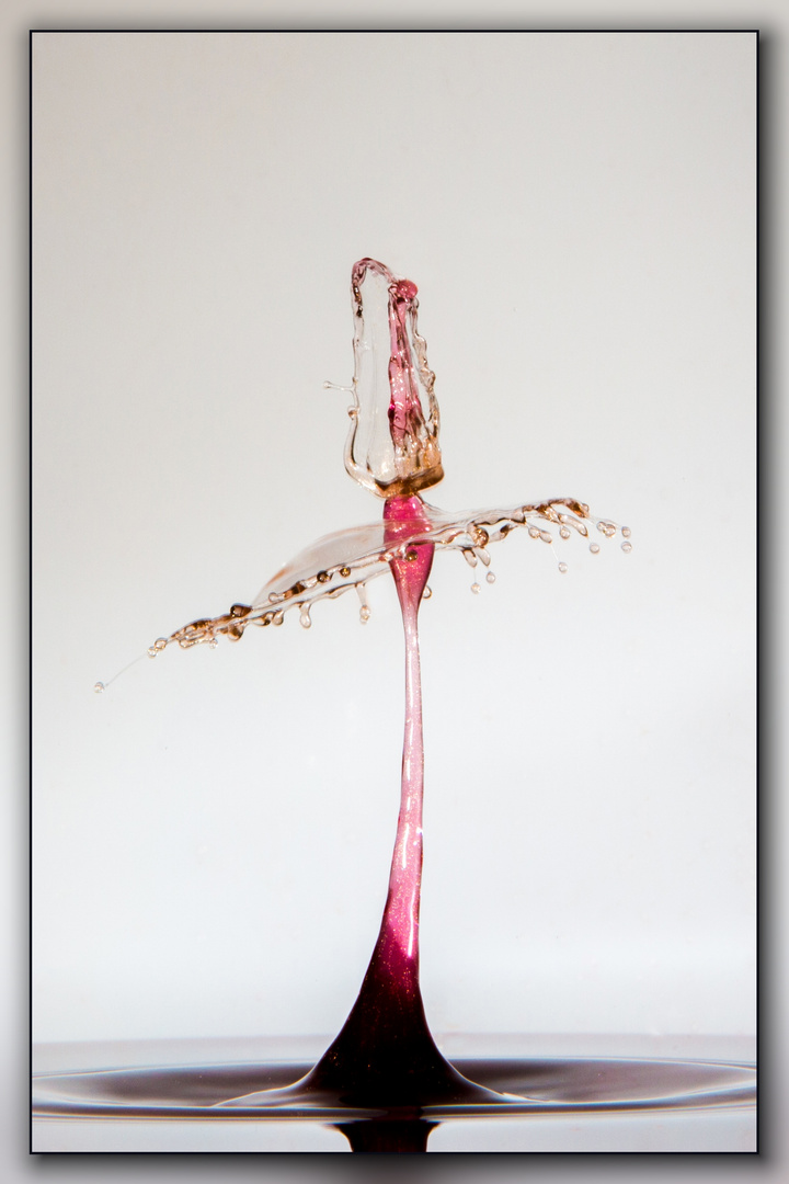 Rot - Gold Foto & Bild | abstraktes, formen, table-top Bilder auf ...