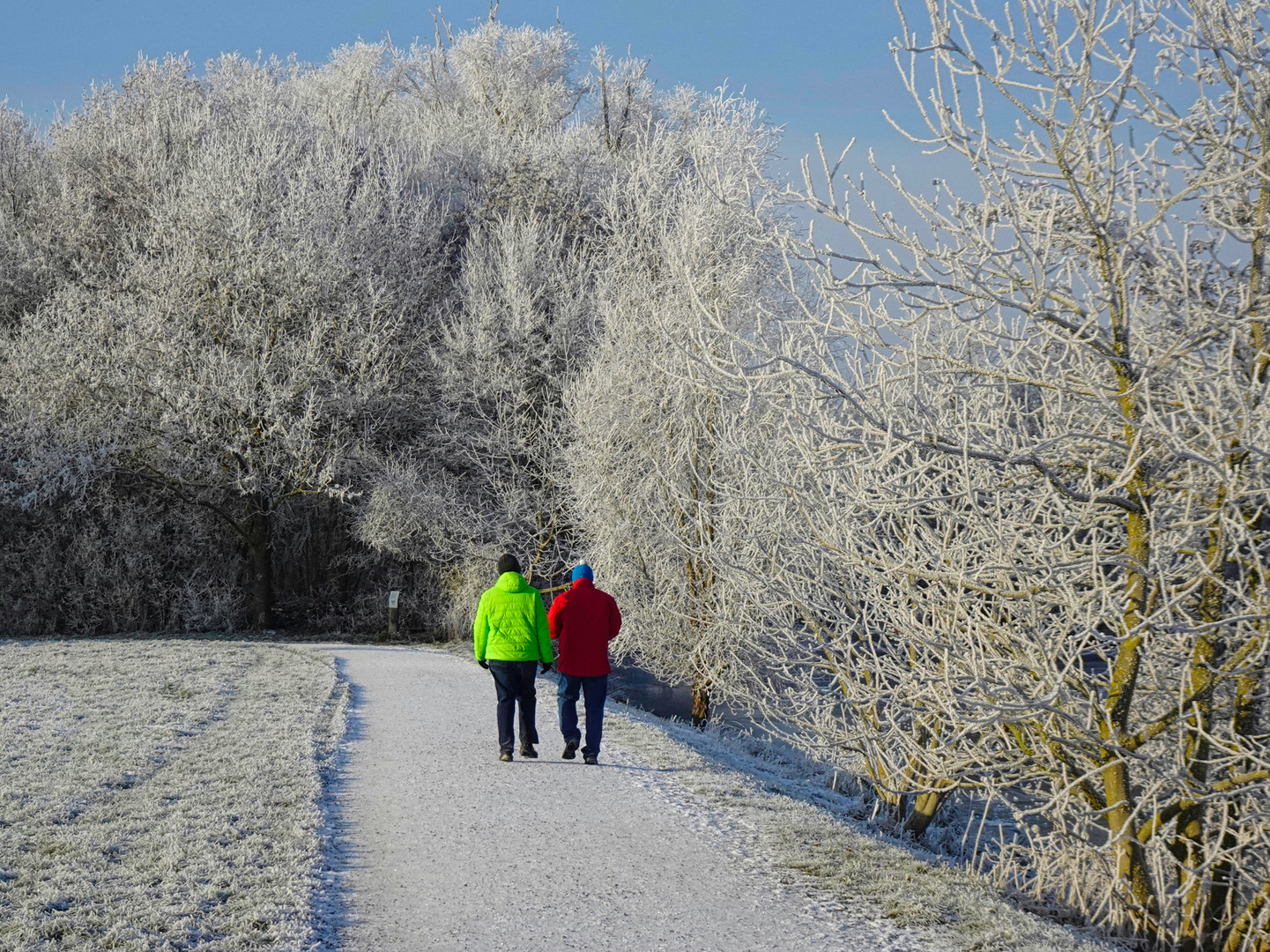 rot grün Foto & Bild | jahreszeiten, winter, landschaft Bilder auf ...