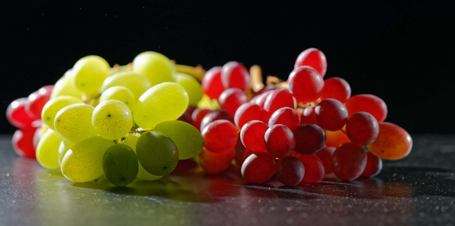 Rot-Grün Foto & Bild | stillleben, motive Bilder auf fotocommunity