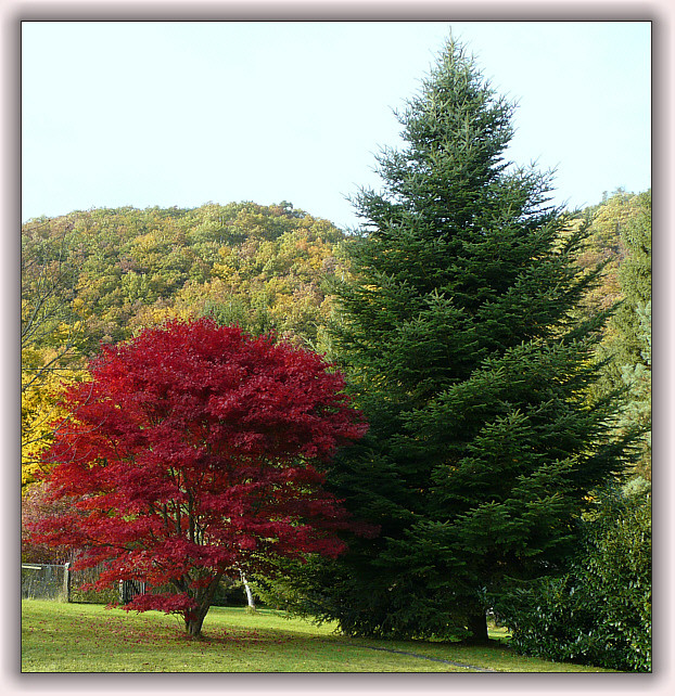 Rot / Grün Foto & Bild | archiv - kritik am bild, kritik am bild ...