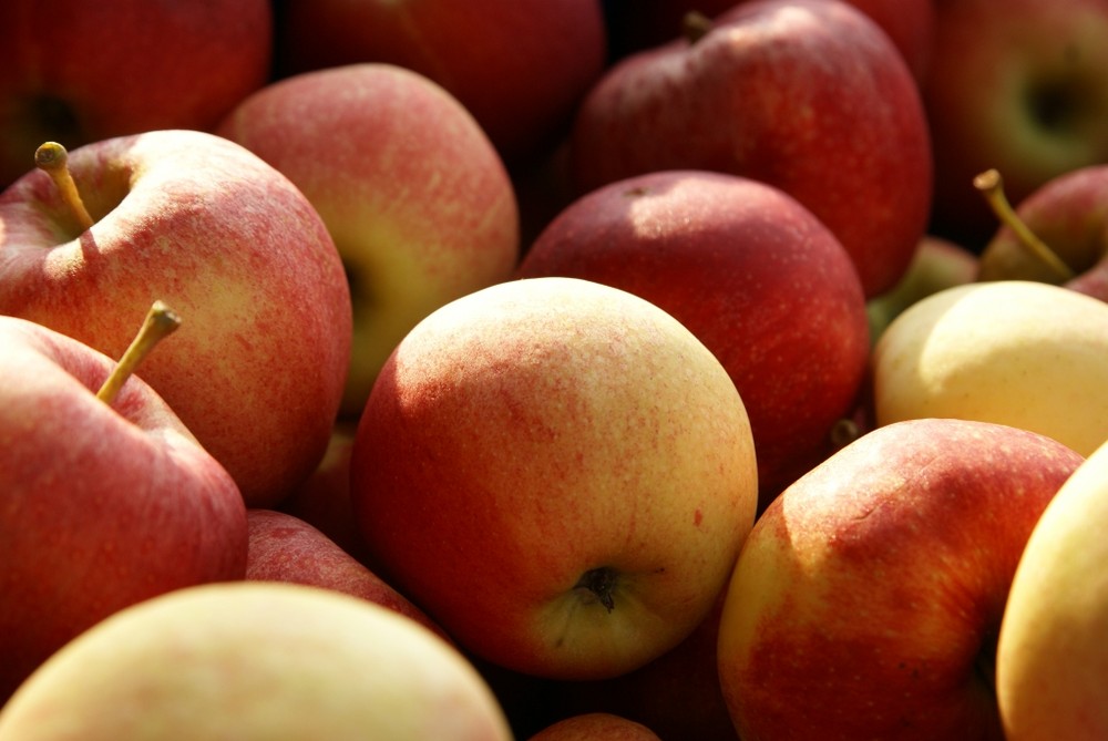 Rote Äpfel Foto & Bild | stillleben, food-fotografie, obst & gemüse ...