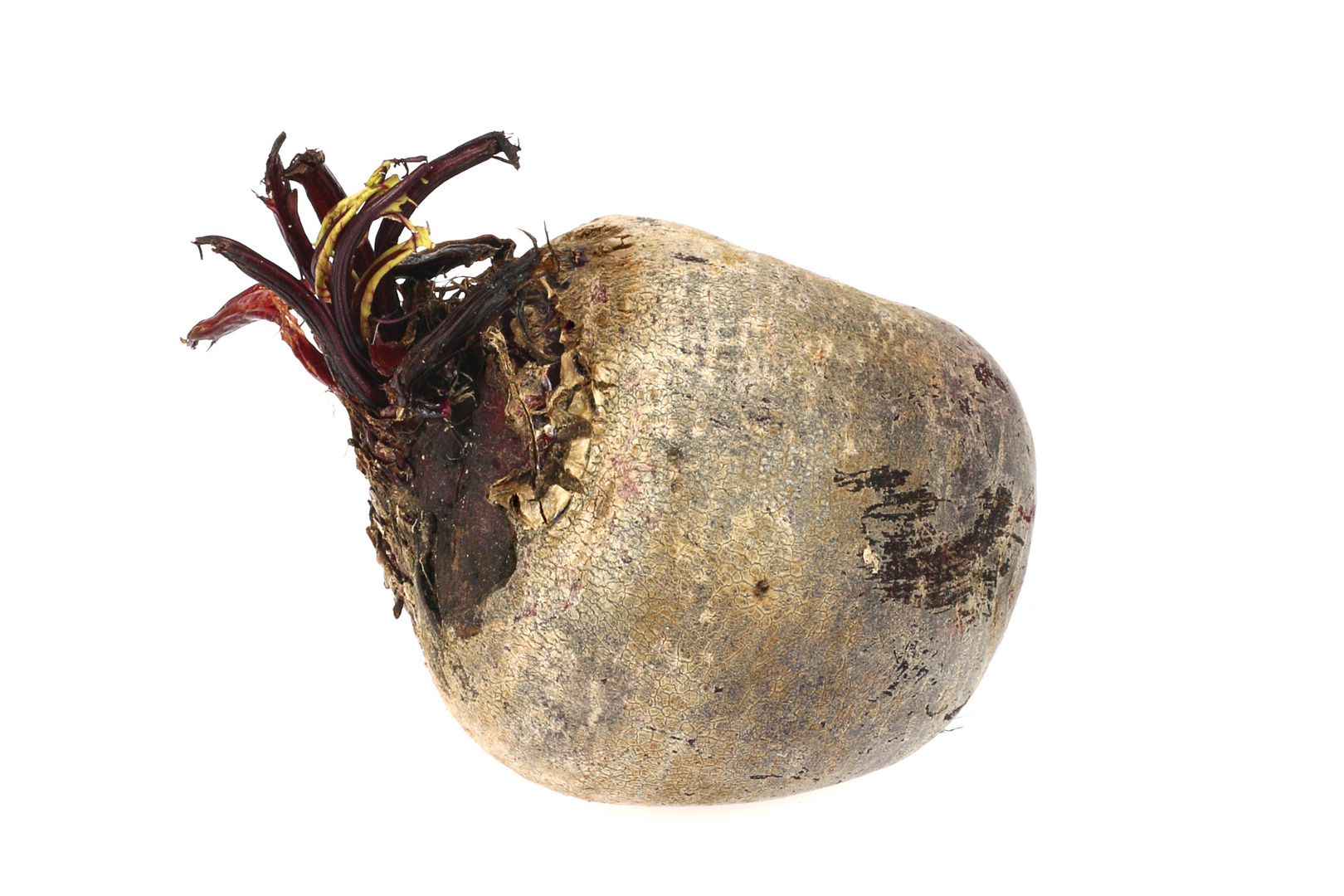 Rote Beete g Foto & Bild | stillleben, food-fotografie, obst & gemüse ...