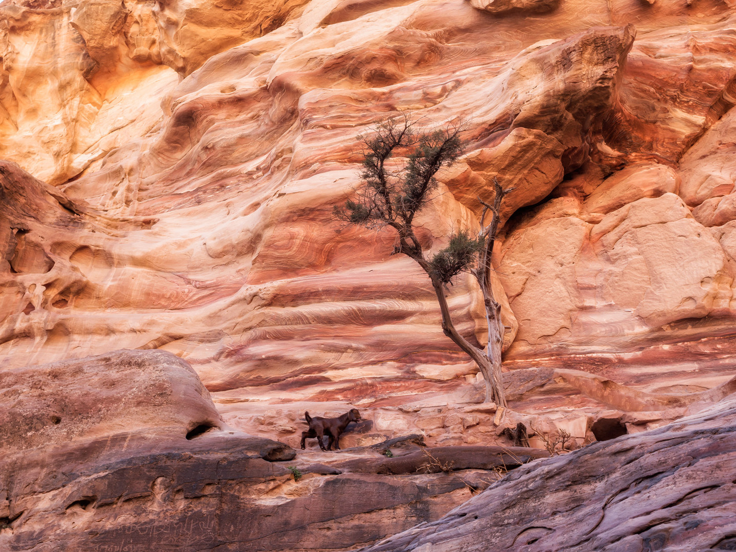 rote Felsen Foto & Bild | natur, landschaft, berge Bilder auf fotocommunity