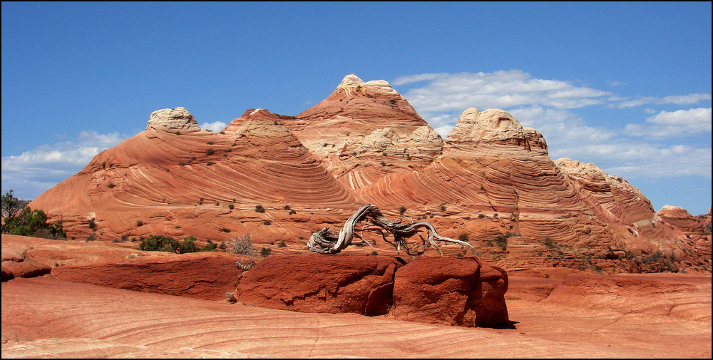Rote Steine ;-) Foto & Bild | north america, united states, arizona ...