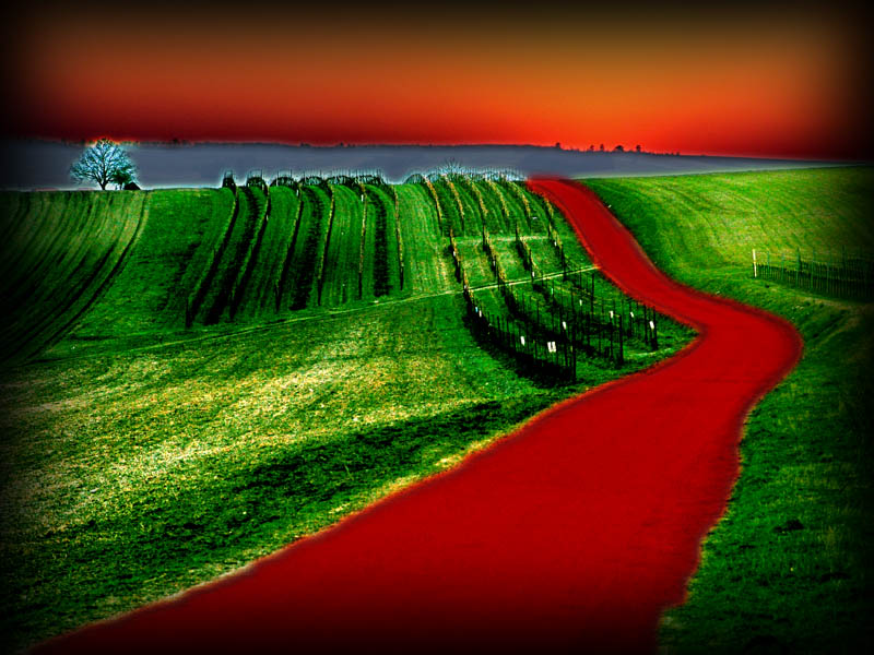 rote Strasse - Bild & Foto von Alexander Polz aus Rot/Red - Fotografie (4249128) | fotocommunity