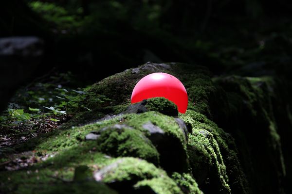 Walter Businger - Fotos & Bilder - Fotograf aus Hagendorn, Schweiz ...