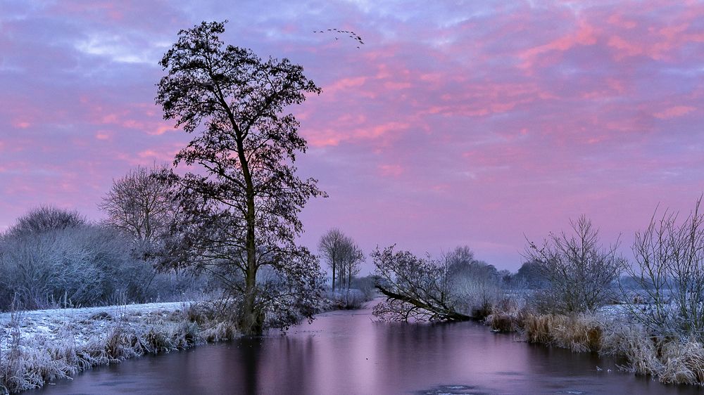 rotes Moor 1 Foto & Bild | wasser, winter, himmel Bilder auf fotocommunity
