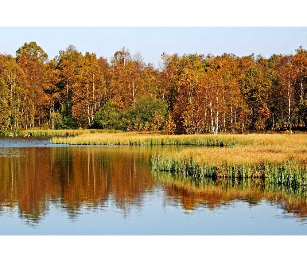 Rotes Moor Foto & Bild | jahreszeiten, herbst, wasserkuppe Bilder auf ...