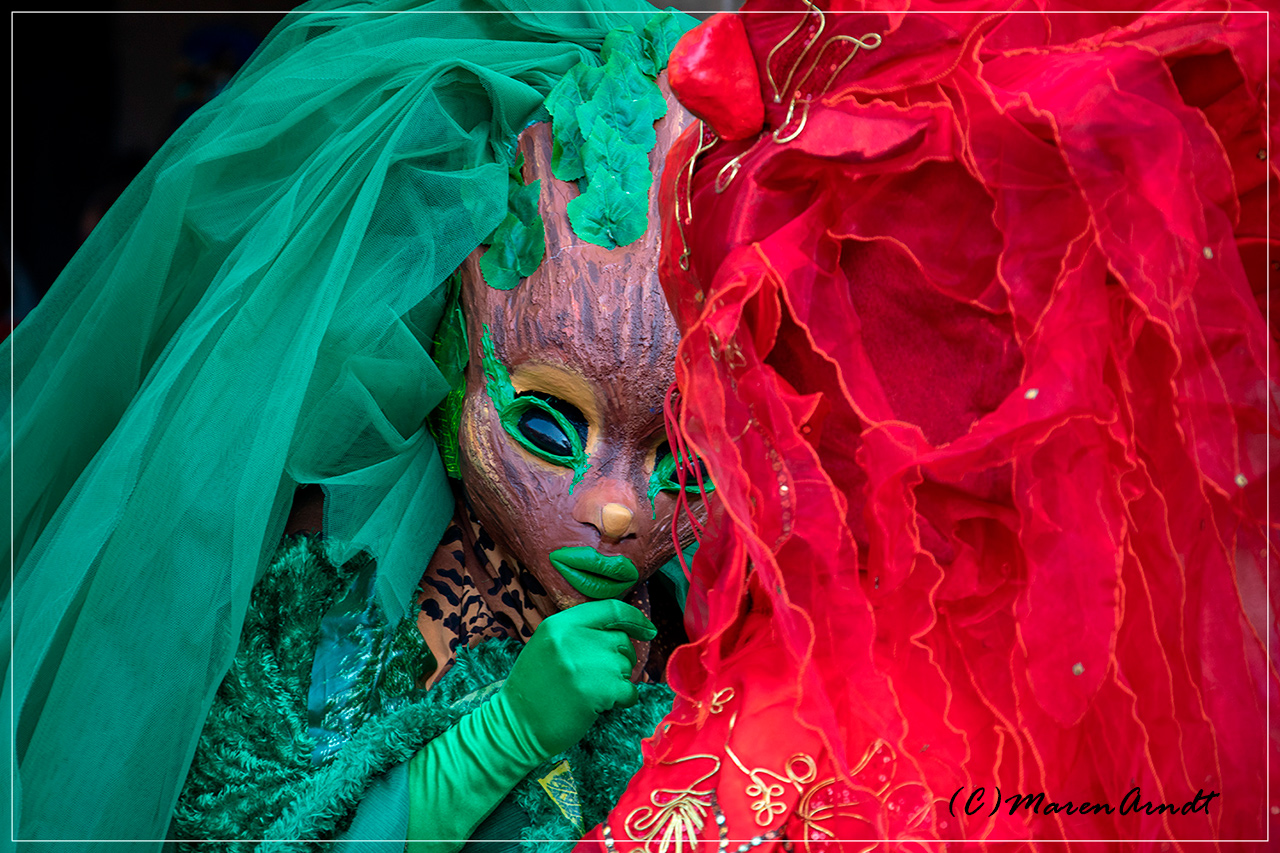 Rot/grün Foto & Bild | fotos, fasching, world Bilder auf fotocommunity