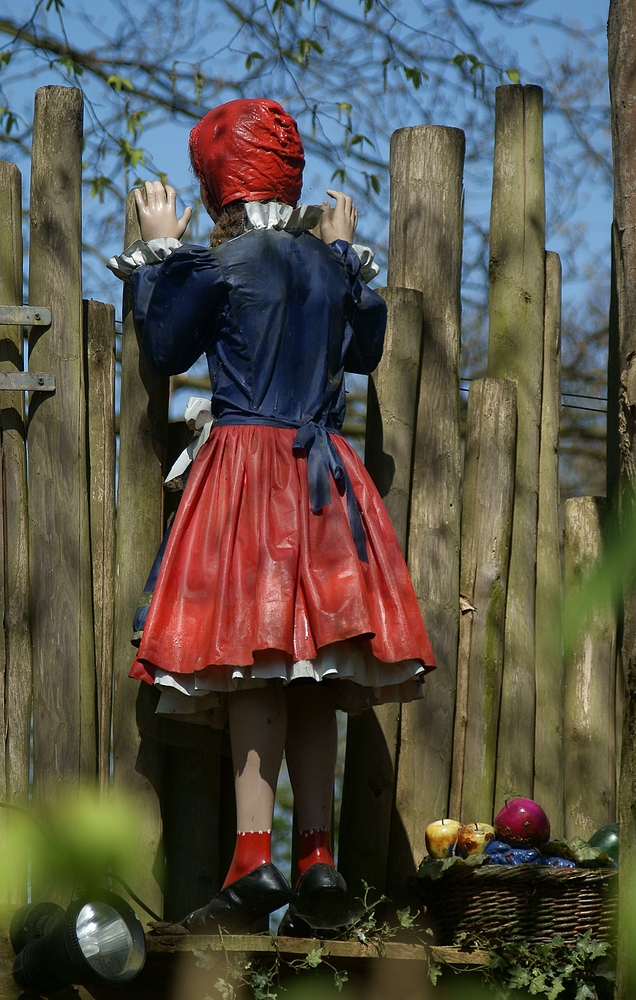 Rotkäppchen... Foto & Bild | zoo + tierpark Bilder auf fotocommunity