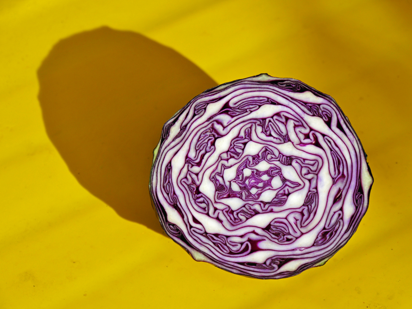 " Rotkraut bleibt Rotkraut ... Foto & Bild | grafik, natur, pflanzen ...