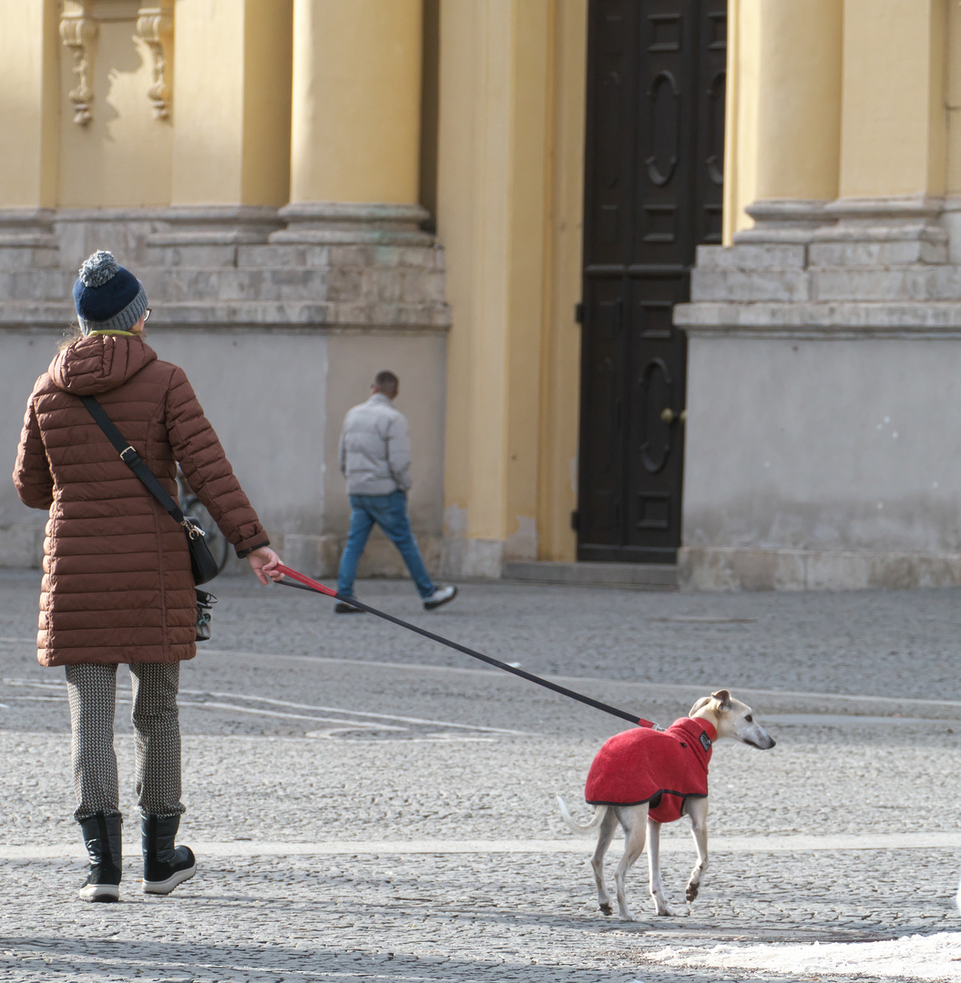 Rotmantel auf Münchens Laufsteg Foto & Bild | erwachsene menschen, tiere, haustiere Bilder auf ...