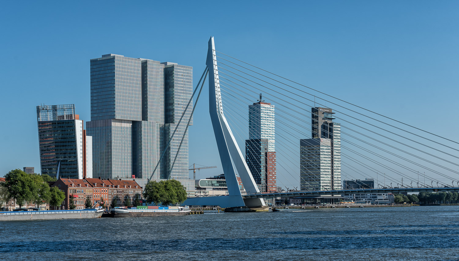/_ Rotterdam-Erasmusbrug /_ Foto & Bild | world, architektur, holland ...