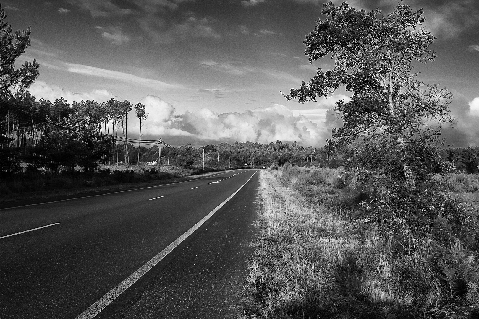 route de campagne ! photo et image | animations photographiques ...