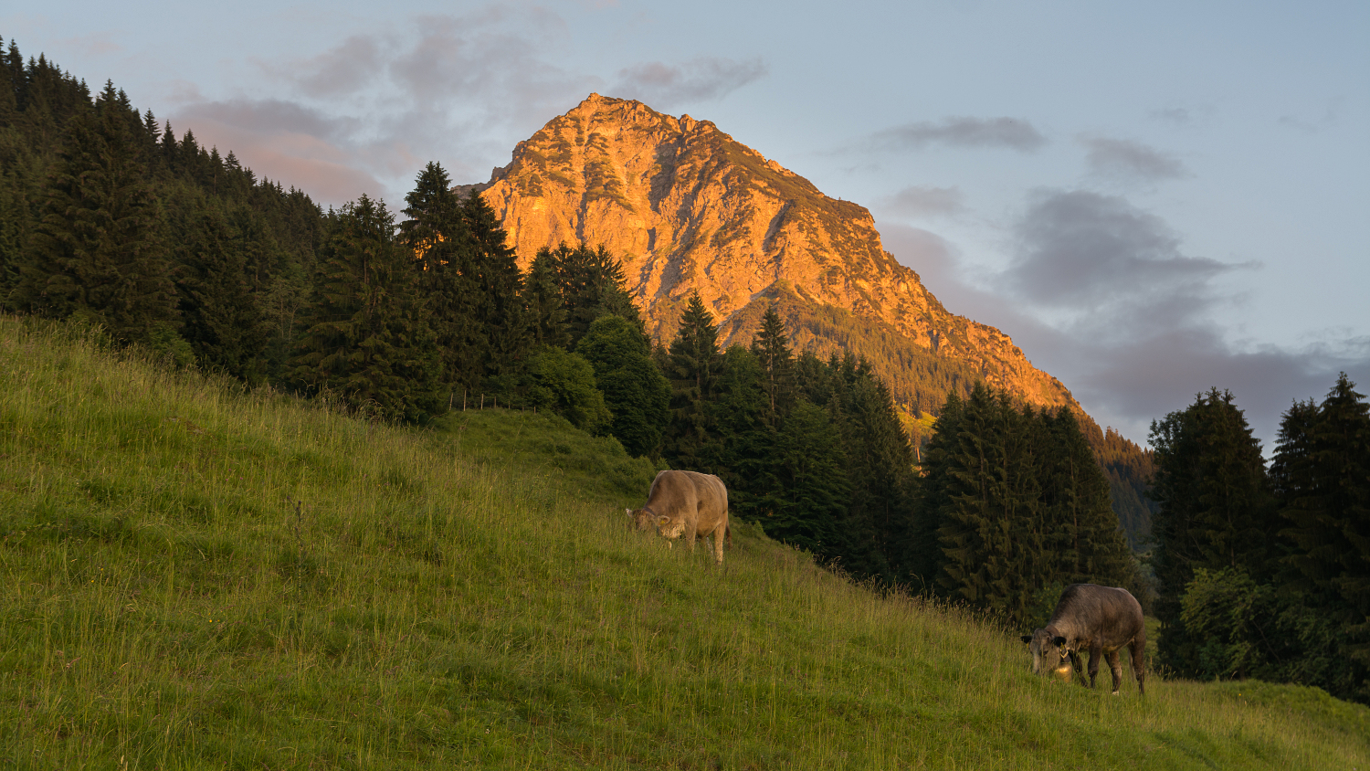 Rubihorn im Abendlicht Foto & Bild | world, sonnenuntergang, natur ...