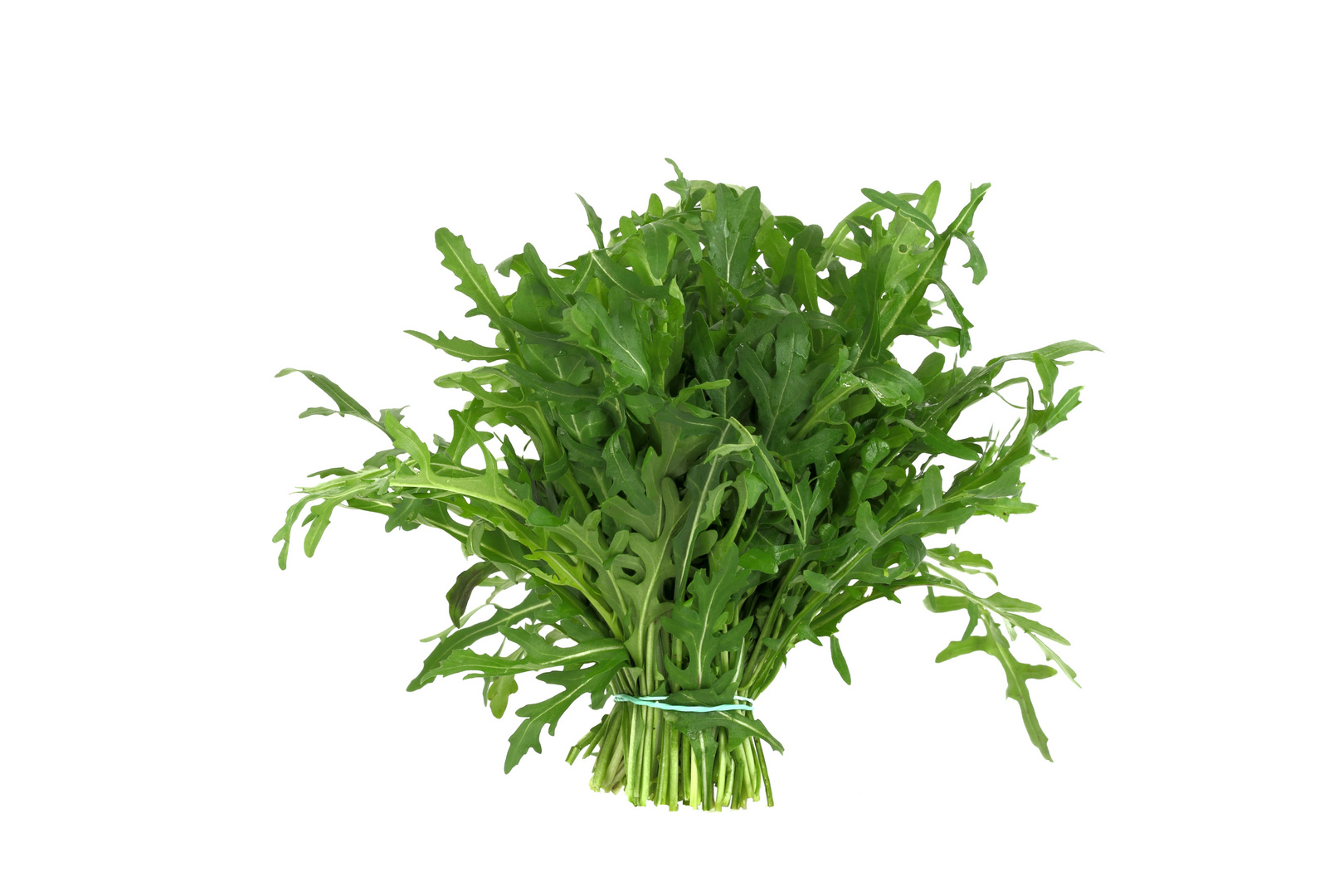 Rucola 2 Foto & Bild | stillleben, food-fotografie, obst & gemüse ...