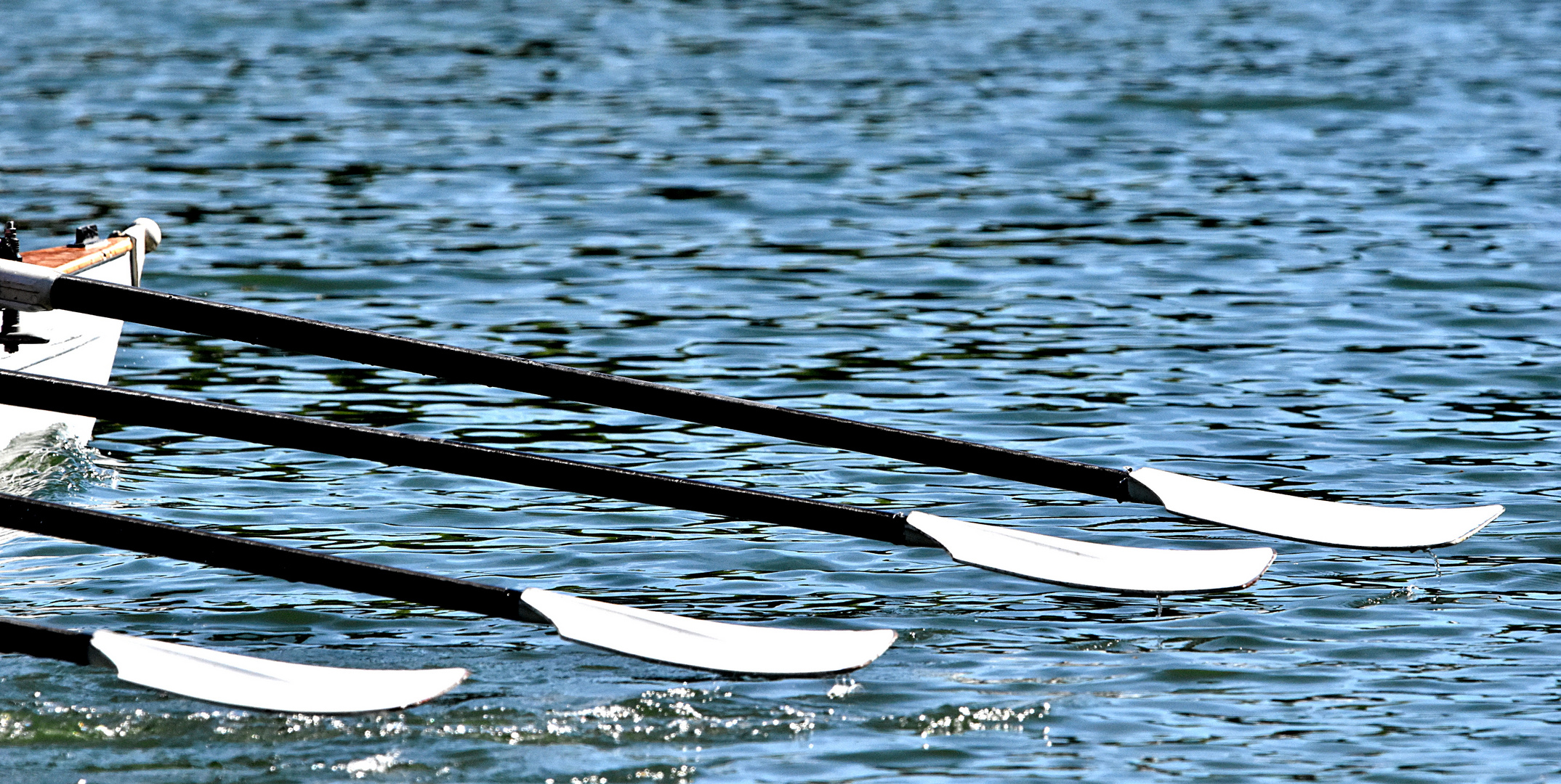 Ruder Ruder !!! Foto & Bild | sport, wassersport, im unter-wasser ...