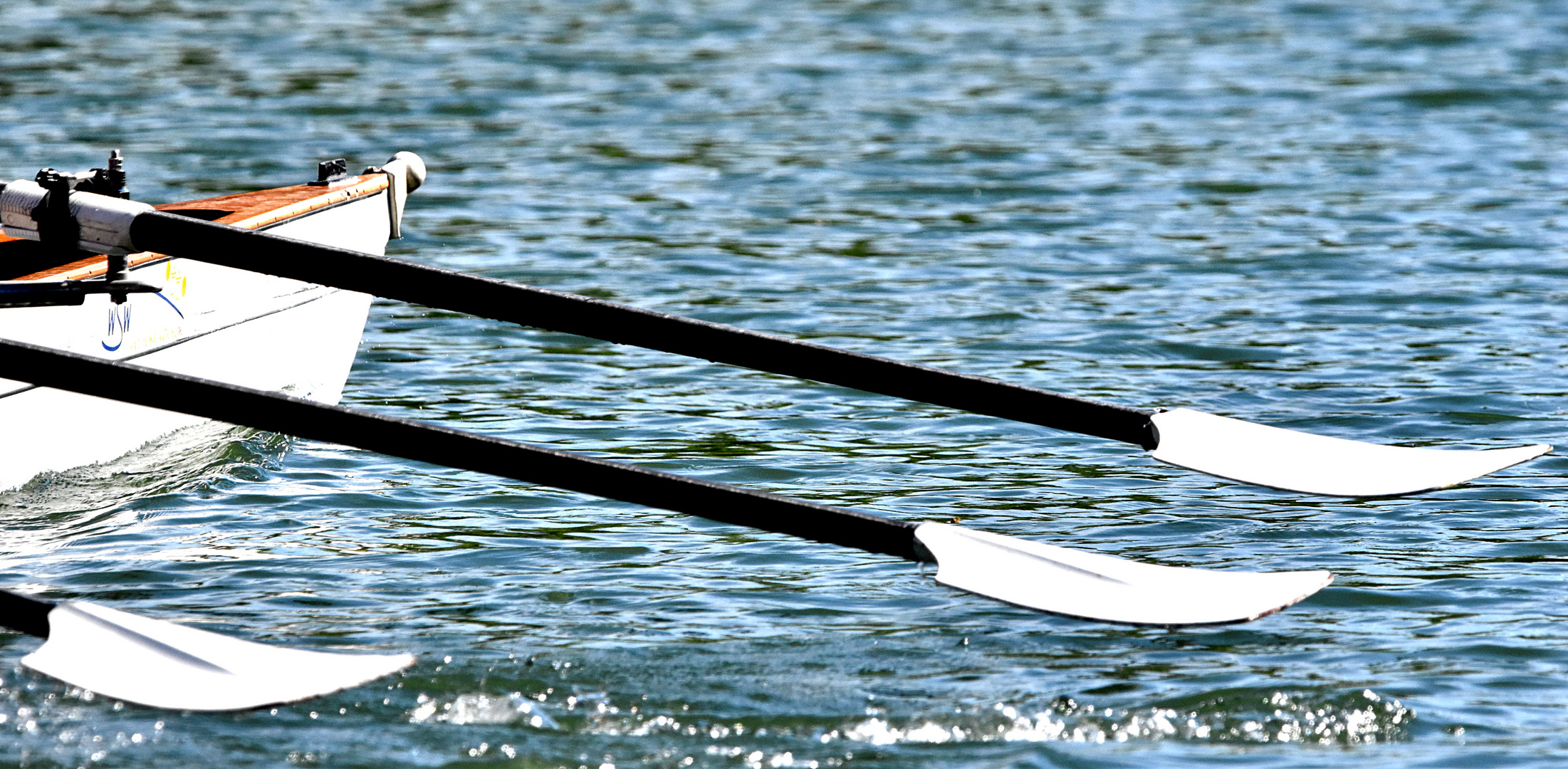 Ruder Ruder !!! Foto & Bild | sport, wassersport, im unter-wasser ...