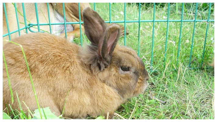 Pascal P. - Fotos & Bilder - Fotograf aus Oldenburg, Deutschland ...